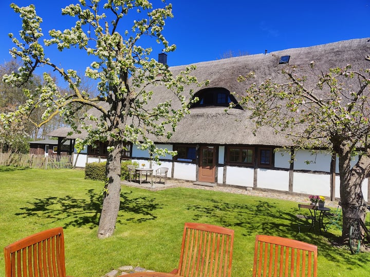 Reetmeer Kate Meeresgeflüster With Sauna & Spa - Am Salzhaff