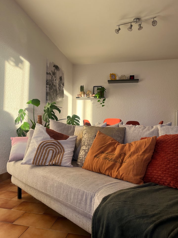 L’appartement Du Bonheur De Giu - Romans-sur-Isère