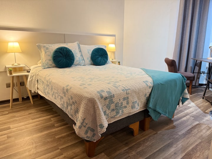 Apartamento A Pasos Del Metro Bellas Artes - Santiago, Chile