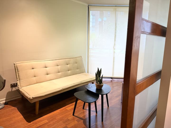 Rent Apartamentos En Santiago Centro, Bellas Artes - Santiago