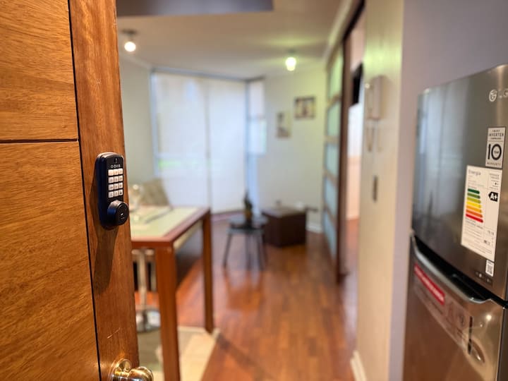 Rent Apartamentos En Santiago Bellas Artes - Santiago