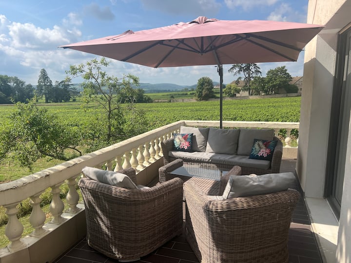 Relaxing Home In The Vines - Chagny