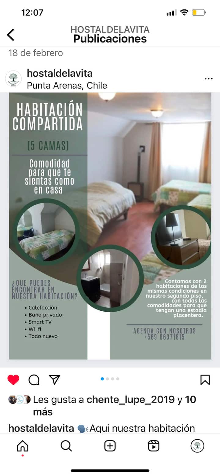 Hostal De La Vita - Punta Arenas