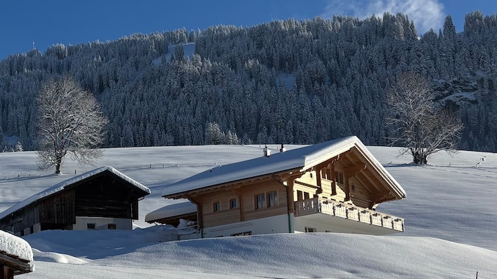 3-zimmerwohnung Mit Aussicht In Gstaad - Schönried