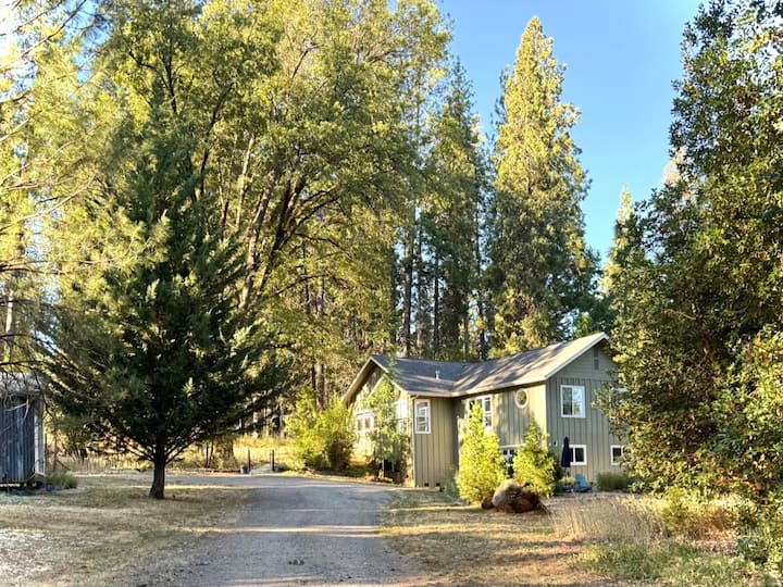 Peaceful Stay In Nature, Walk To Town - Nevada City, CA