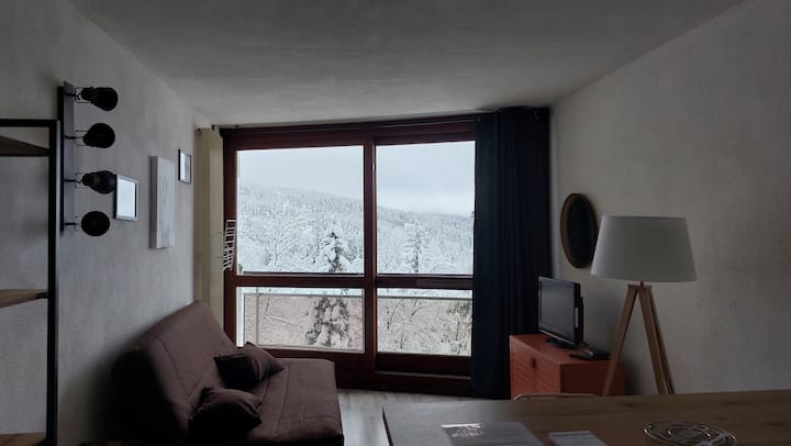 Studio Aux Pieds Des Pistes - Le Balcon De Villard - Villard-de-Lans