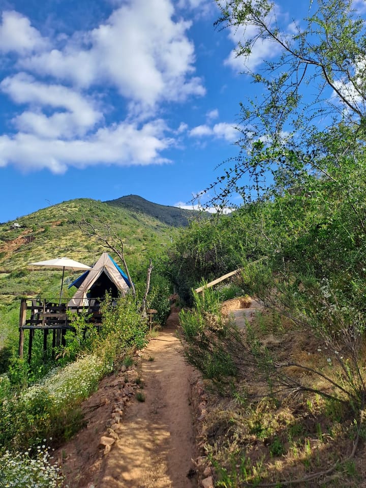 Glamping- Tinaja  Aguilas De Putupur, Dos Personas - Quillota