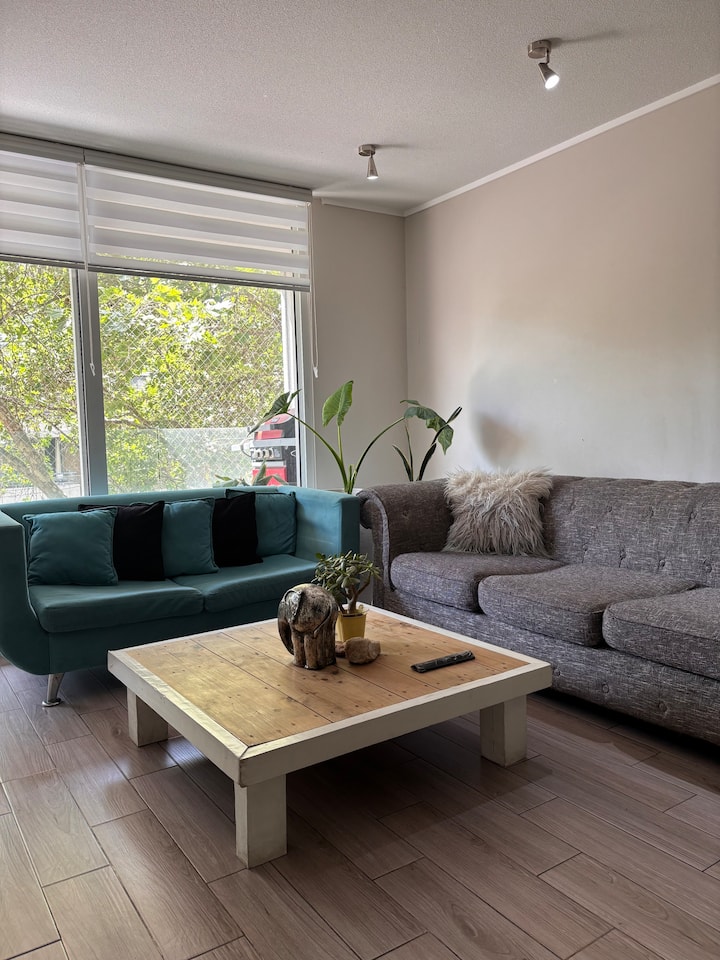 Apartamento Completo Barrio Italia Amplio Moderno - Providencia