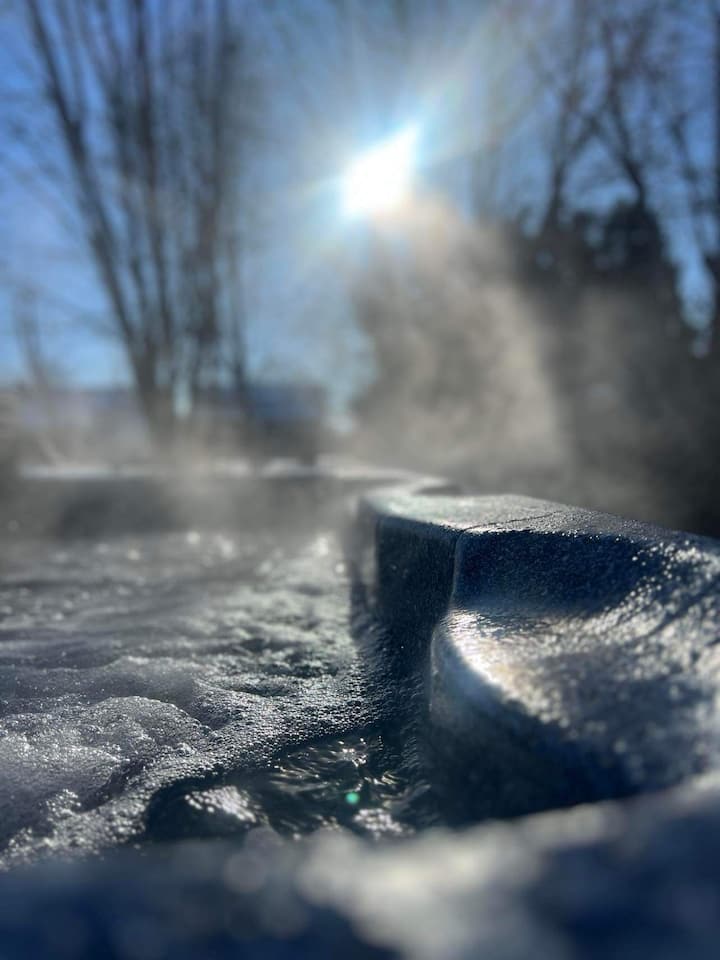 Cottage W/jacuzzi - Centrally Located, Comfy Beds! - 萊星頓市