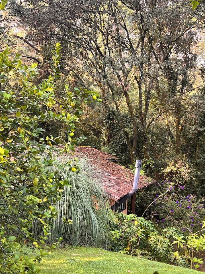Cabaña En El Bosque. Lovely Cottage In The Forest - Valle de Bravo