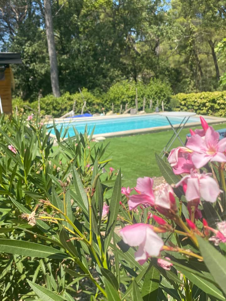 Location Bas De Villa Avec Piscine - Draguignan