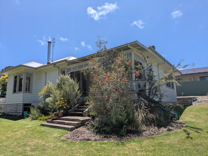 The Blue Wren - Timboon