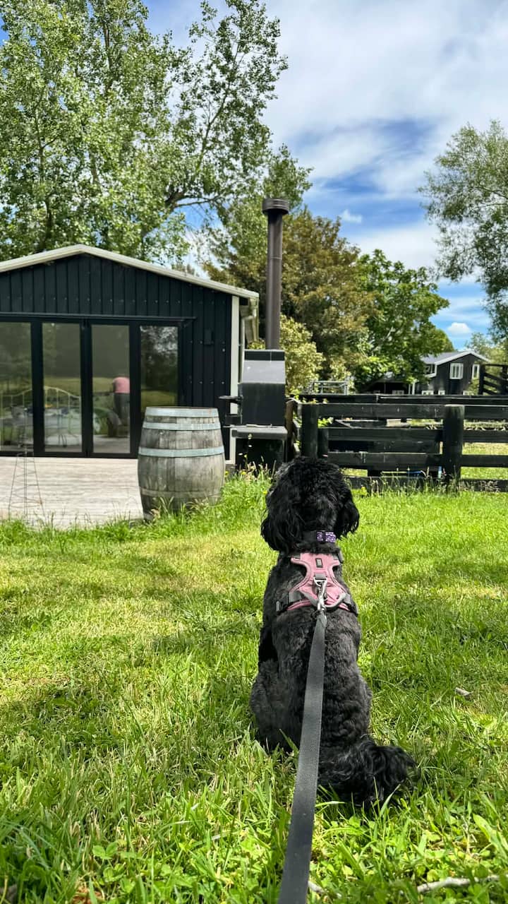 The Woolshed - Pet Friendly Luxury Retreat - Lake Taupo