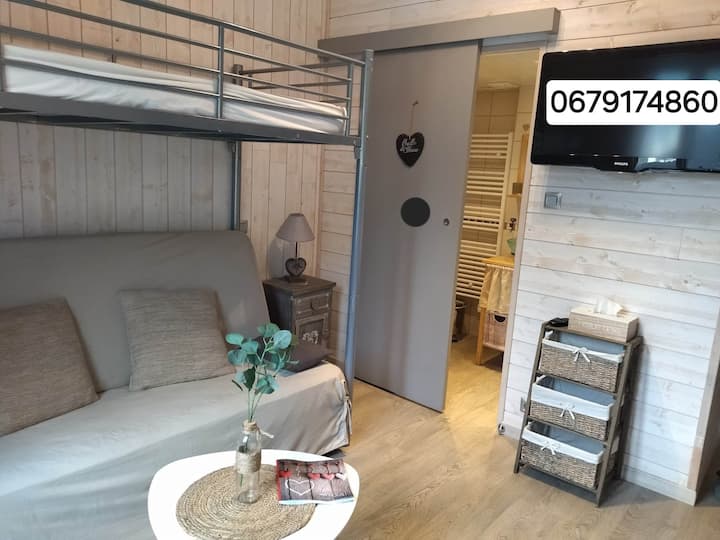 Appartement Chaleureux Et Cosy Centre Du Mont Dore - Mont-Dore