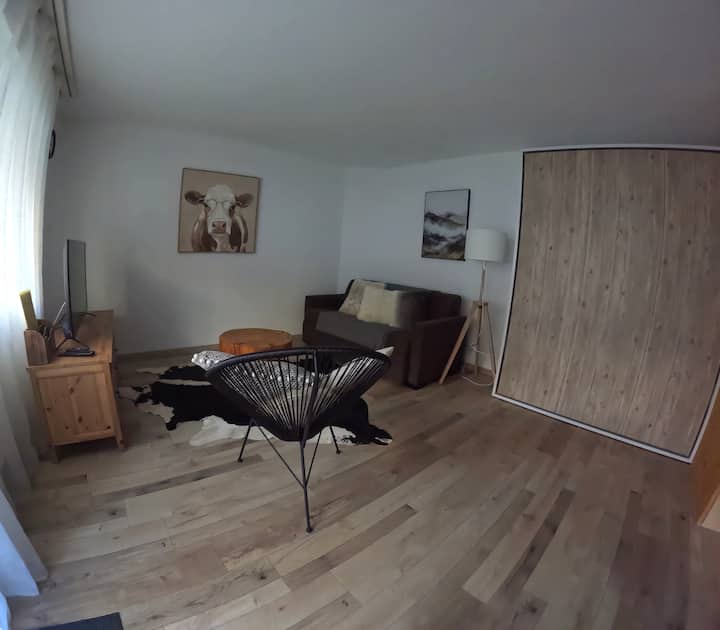 Majesta Modern Studio #118 - Loèche-les-Bains