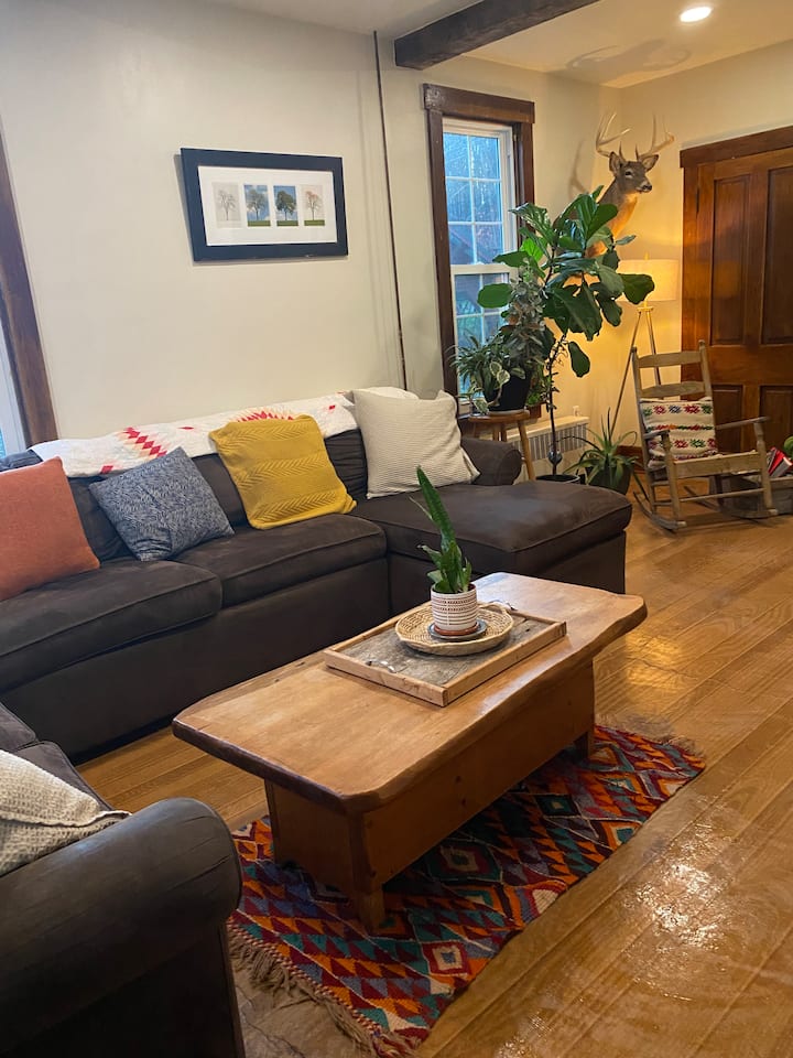Historic Farm House Right On Creek; Close To Psu! - Bald Eagle State Forest, Laurelton