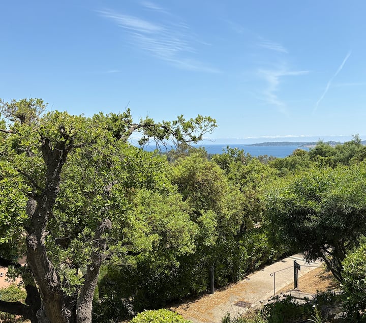 T2 Vue Collines Et Mer Les Restanques Grimaud - Grimaud