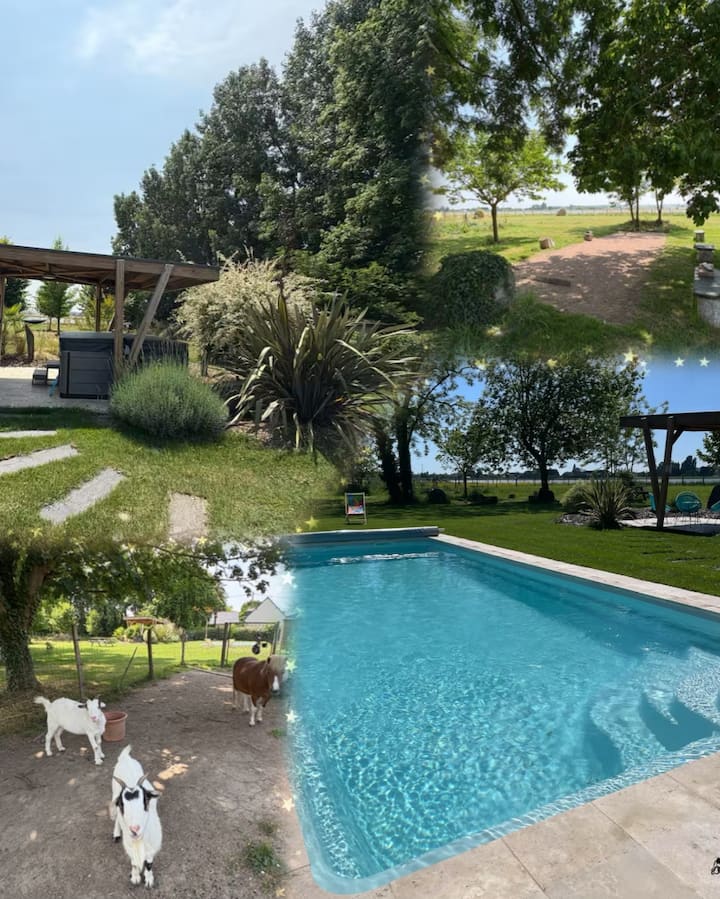 Au Gré De La Loire: Massages, Piscine Et Spa - Maine-et-Loire