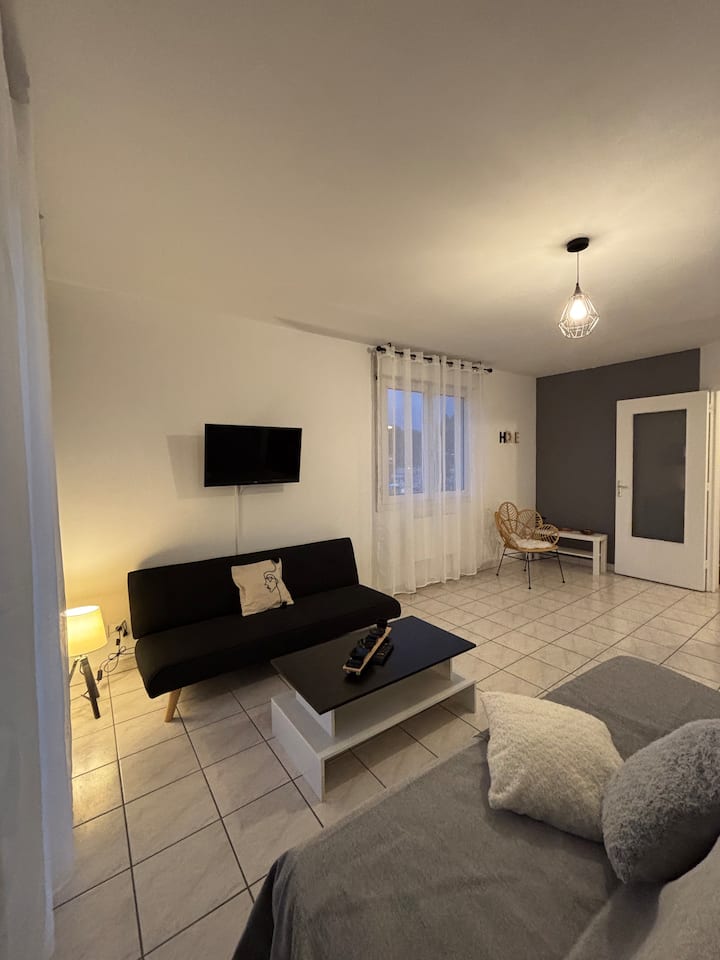 10 Mn Cnpe Bugey / 22 Mn Zi St Quentin Fallavier - Pont-de-Chéruy