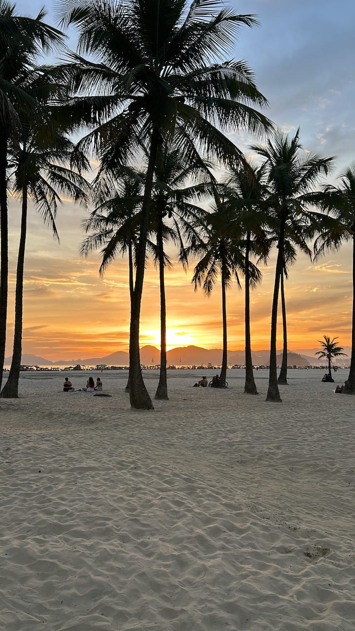 Apartamento Na Quadra Da Praia! - Santos