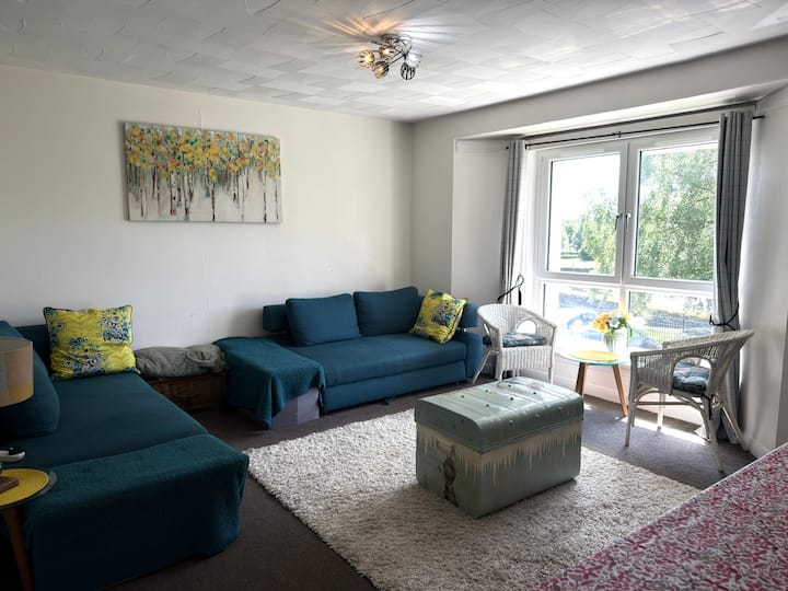 Spacious Flat Facing Glasgow Green W Free Parking - Glasgow