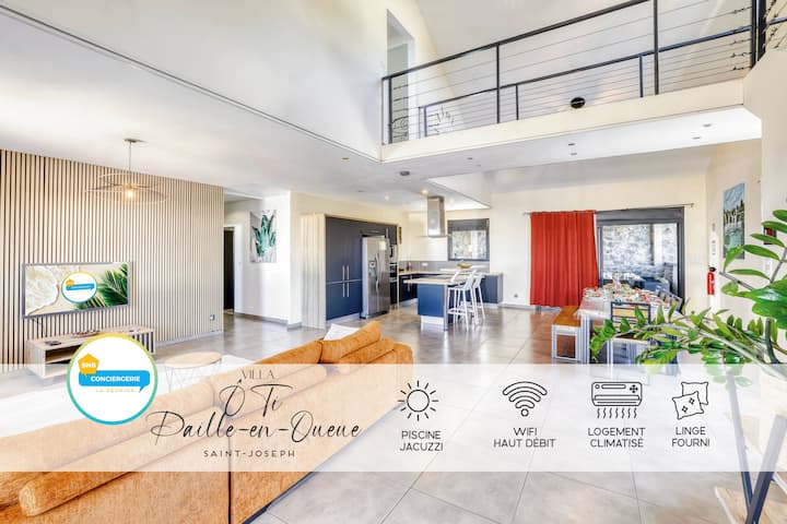 Villa 14 Pers. · Piscine · Jacuzzi · Bbq · Parking - Saint Joseph