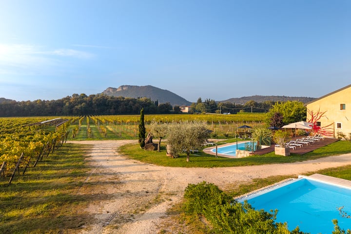 Farmhouse '700 In The Vineyard - Clara - Lac de Garde