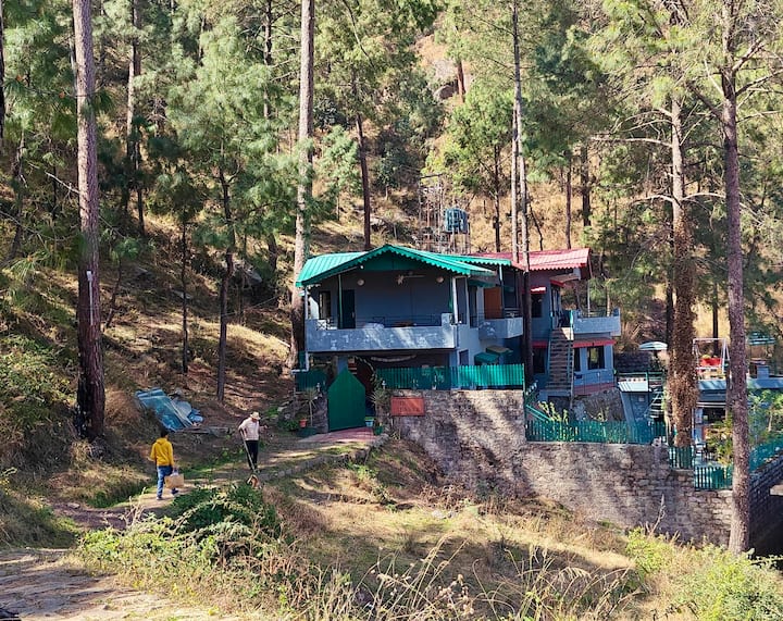 Cottage In The Pine Trees|4br|10px - Kasauli