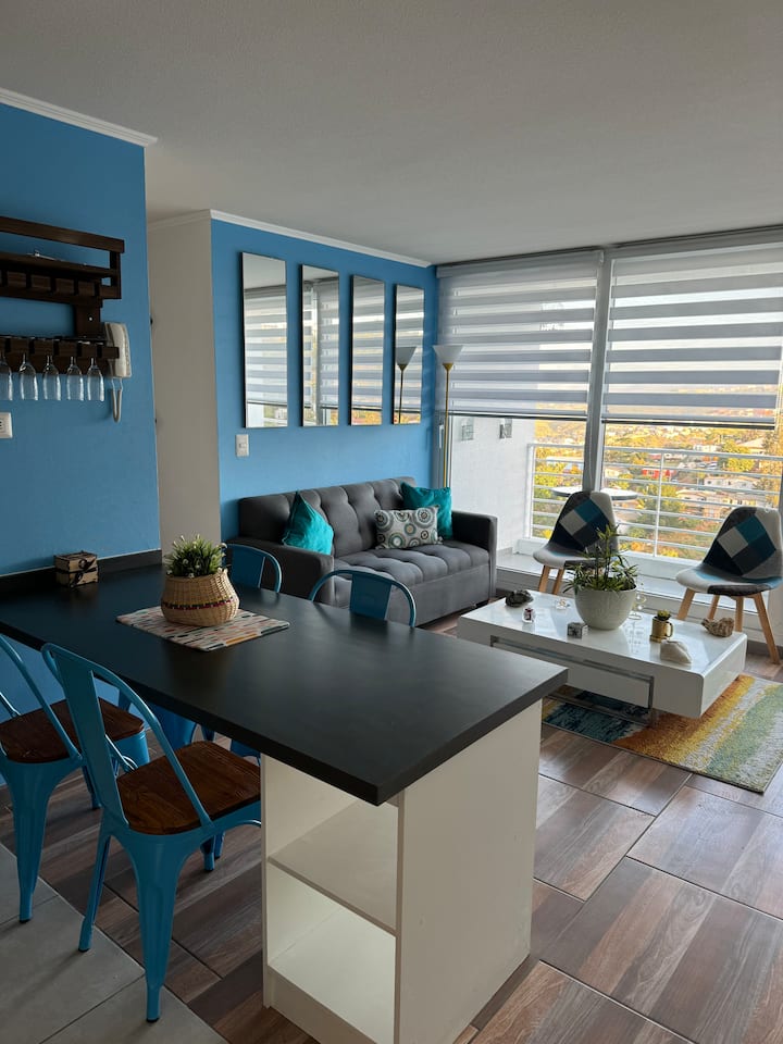 Bello Departamento Viña Del Mar - Valparaíso