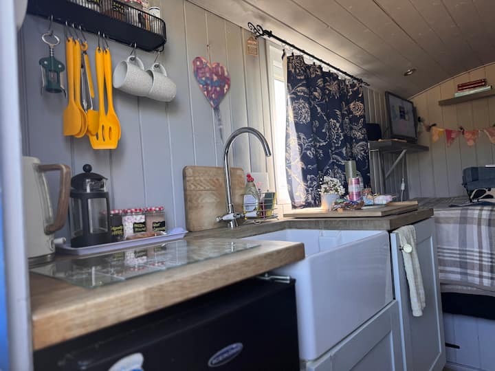 Shepherds Hut, Wonderful Views & 4 Nosey Alpacas. - Kent