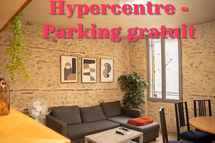 Grand Appartement Duplex Parking - Agen