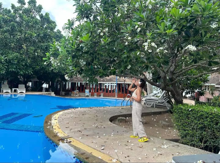 Koh Tao Crg Std Budget A/c - Ko Tao