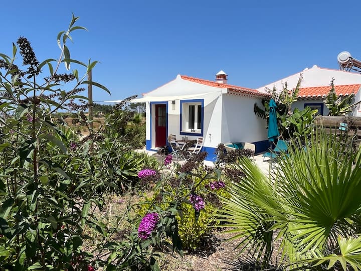 Sun, Sea, Nature In Cosy House - Odeceixe