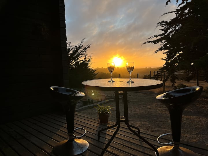 Lobos Pichilemu - Pichilemu