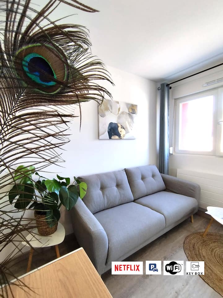 Home Sweet Metz_netflix Et Parking - Metz