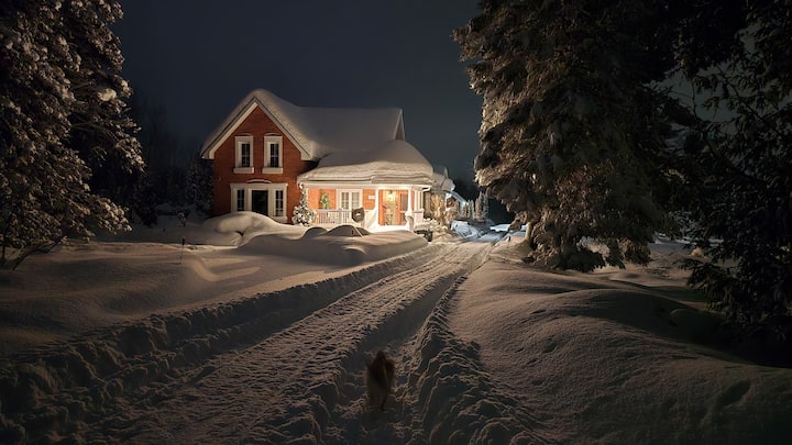 Spruce Lane Retreat - Orillia