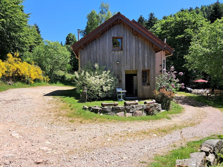 Gîte D'accueil Pour 10 Personnes - Gérardmer
