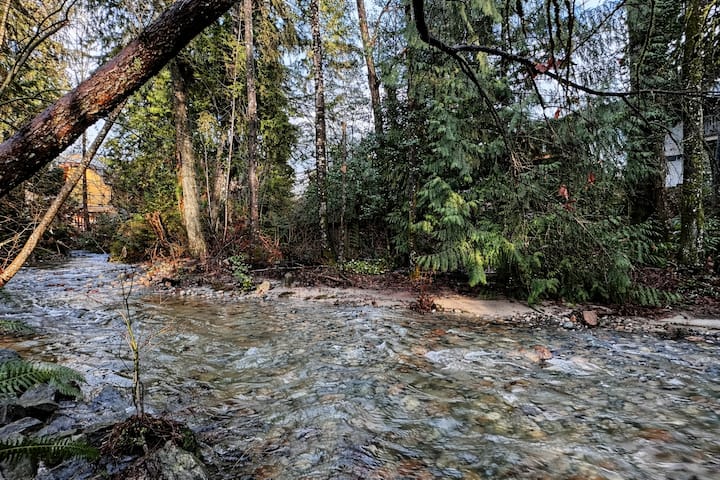Creekside Private Garden Suite-close To Everything - Coquitlam