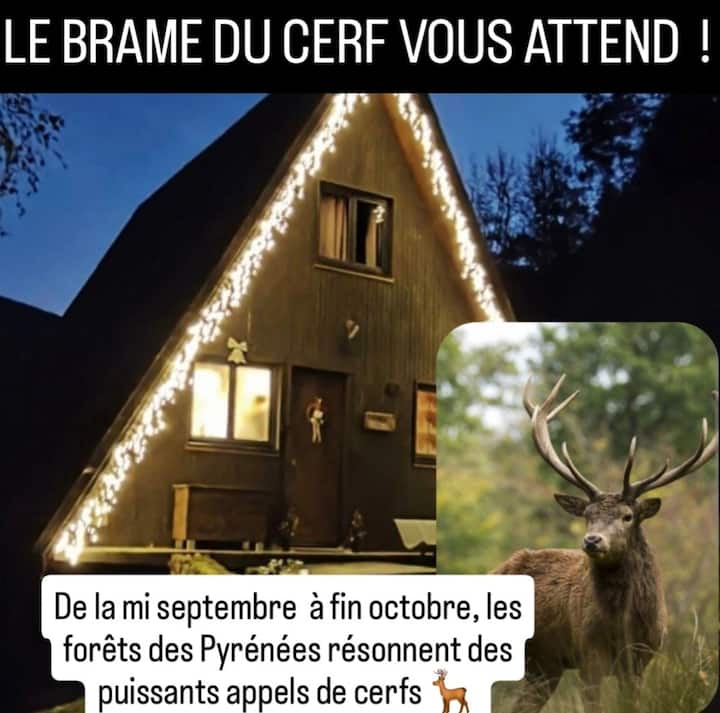 Chalet Woody ,Vivez L'émotion Du Brame Du Cerf! - Pirineos