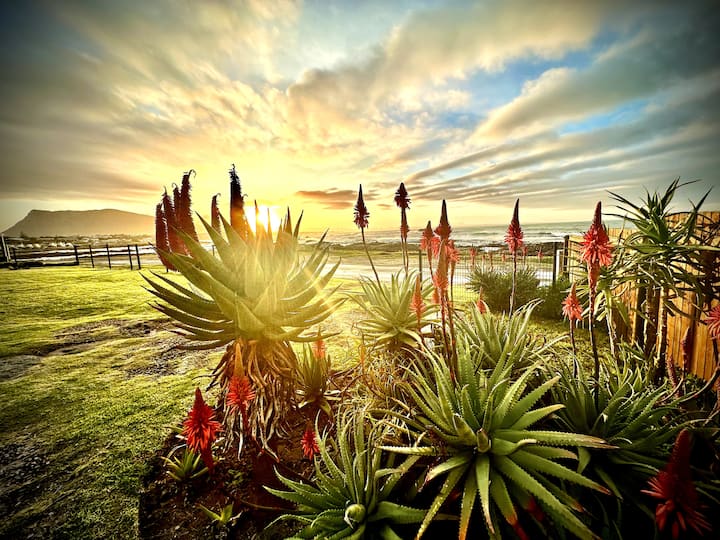 Beach Front Studio - Franskraal