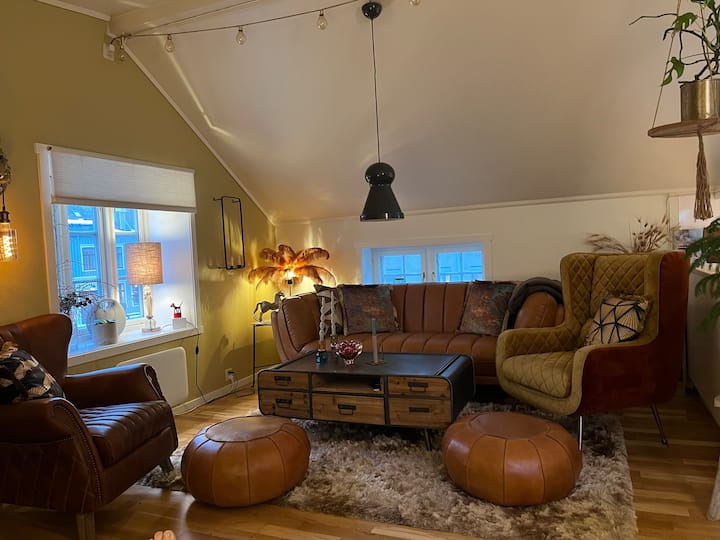 Koselig Eget Sted Midt I Byen, Med Sjel! - Trondheim