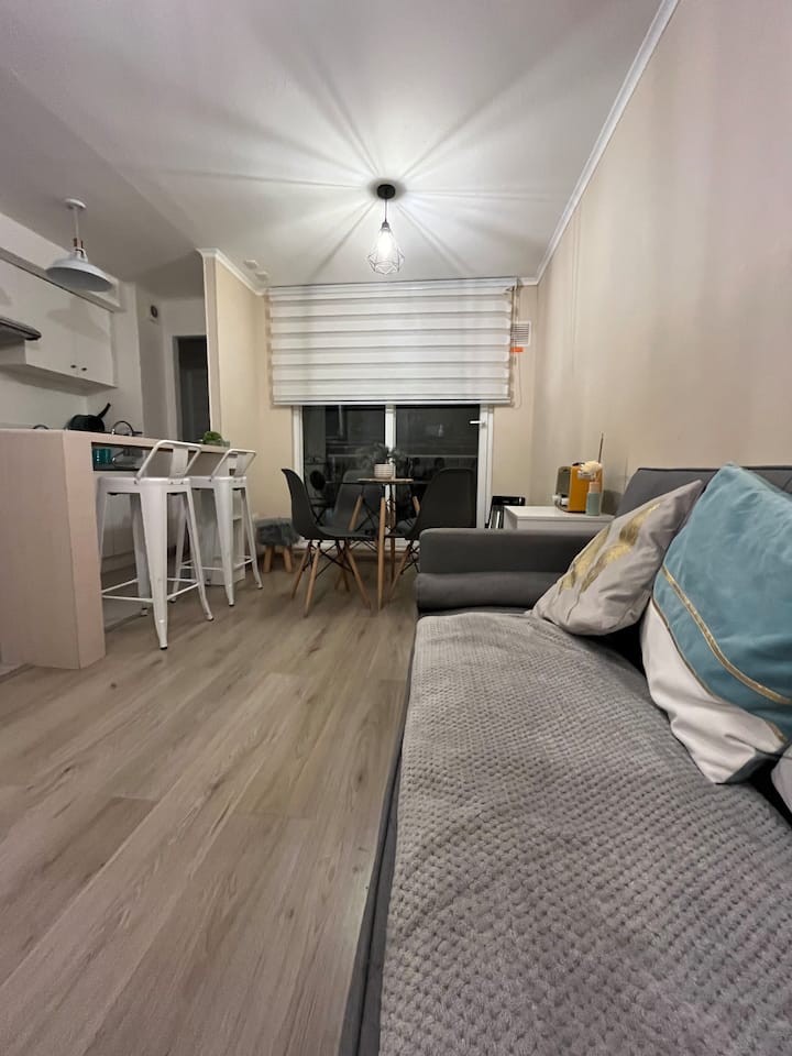 Acogedor Depto Pucón - Pucon