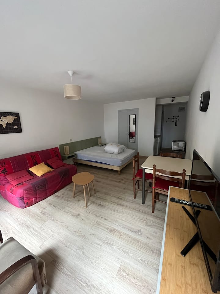 Studio 27 M² Au Pied Des Thermes - Amélie-les-Bains-Palalda