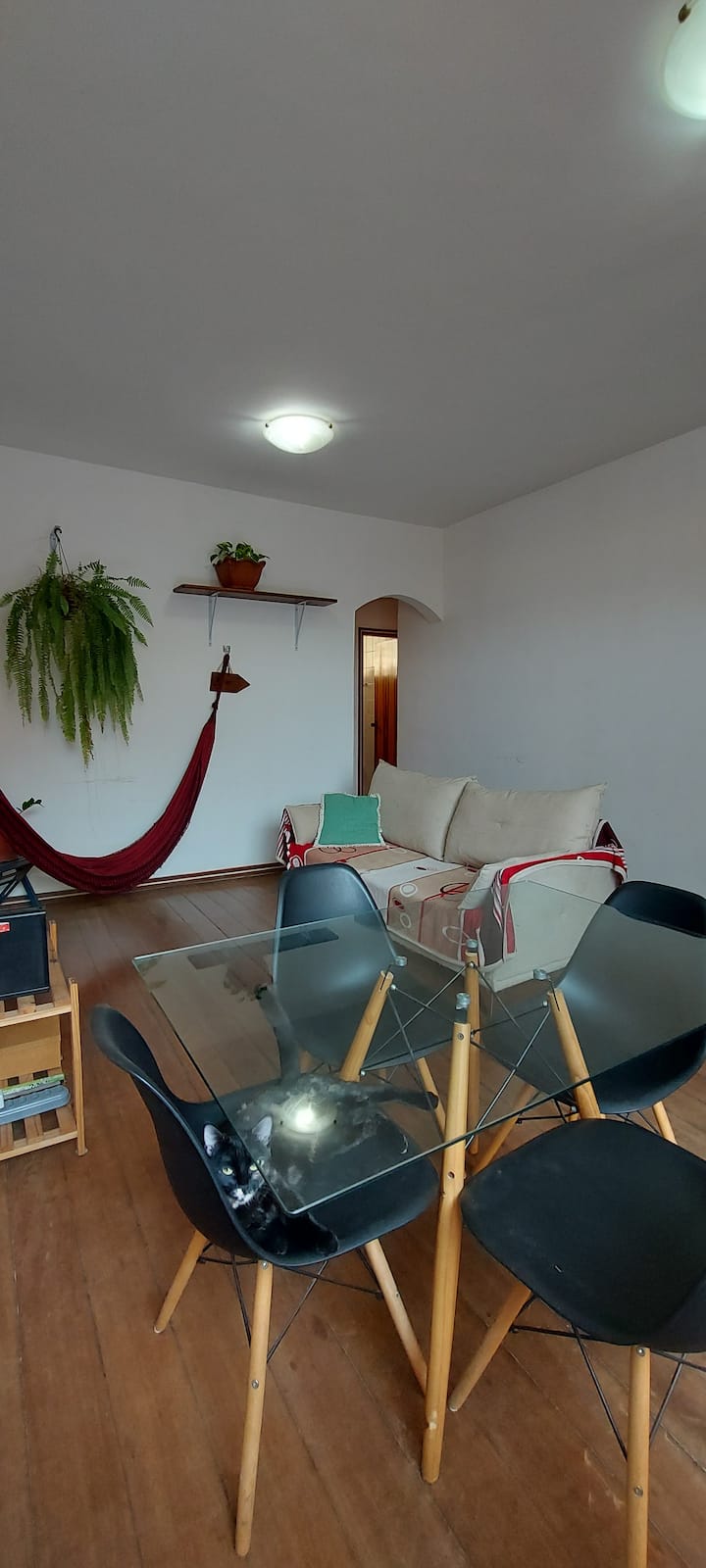 Quarto Em Apê No Santa Tereza - Belo Horizonte