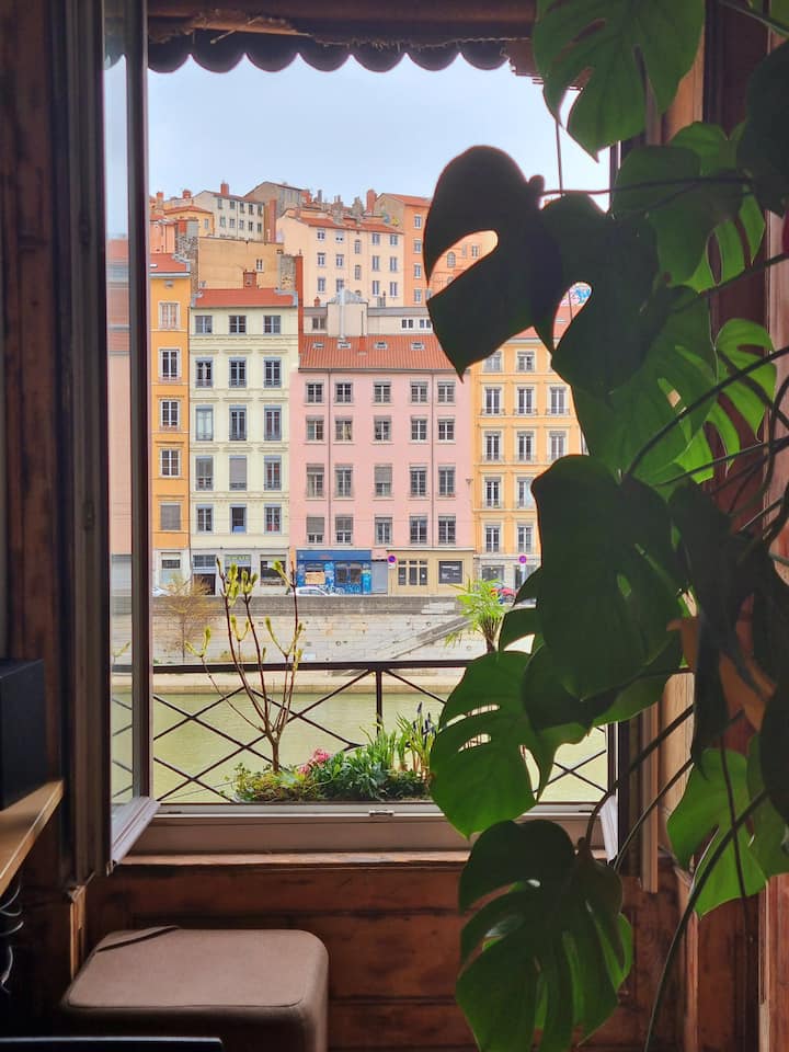 Appart Atypique Vue Sur Saône - Lyon