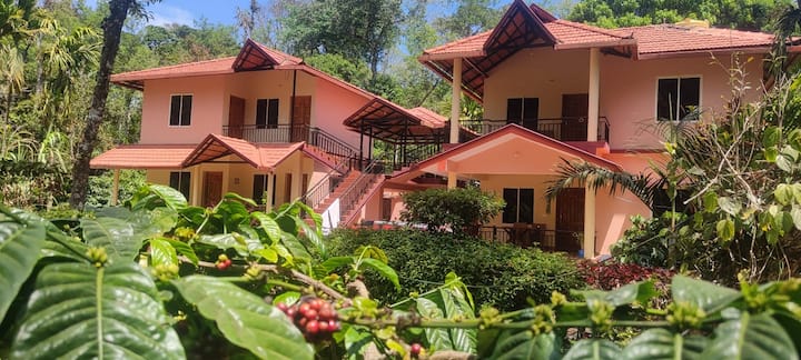 Coffee Nest Coorg - Coorg (Kodagu)
