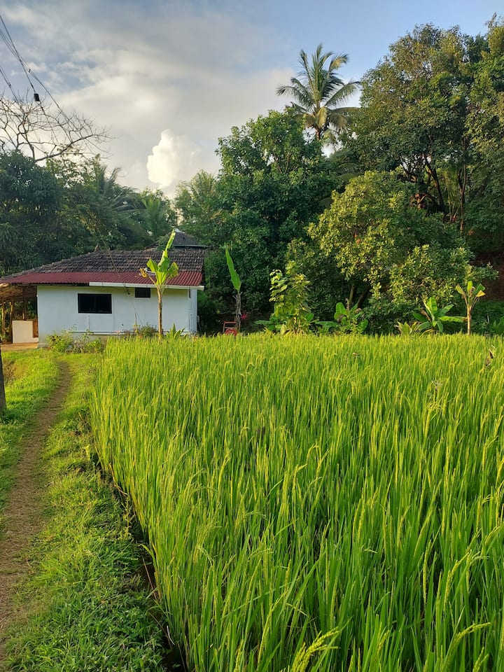 Pinku Farmstay - Gokarna