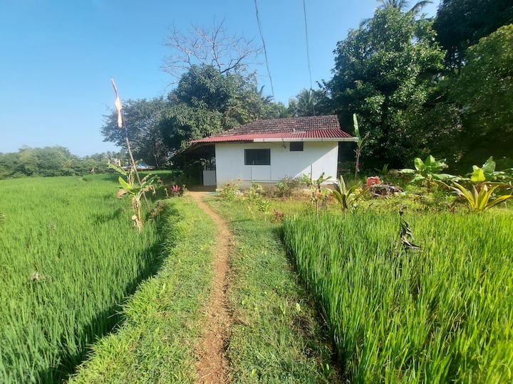 Pinku Farmstay - Gokarna