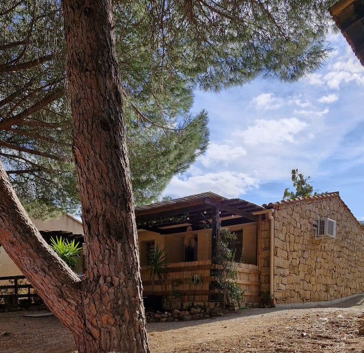 Mini Villa 72, Résidence Avec Piscine Chauffée - Serra-di-Ferro