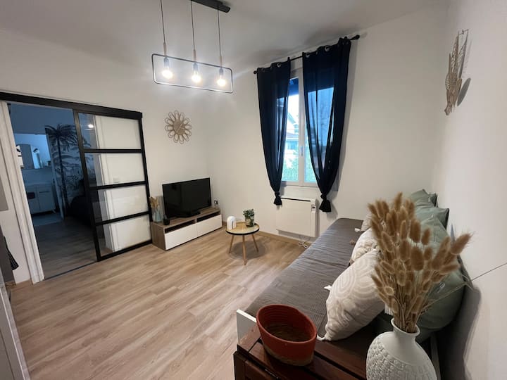 Appartement T2 Capbreton - Capbreton